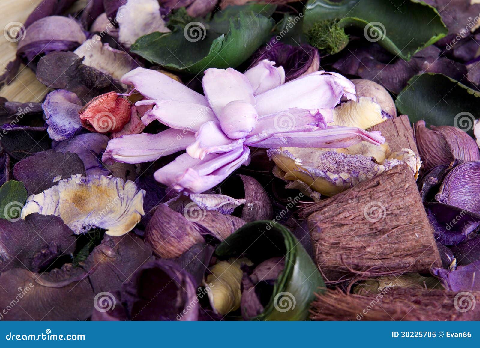 Close Up of Colorfull Pot Pourri Stock Image - Image of dried, fragrant ...