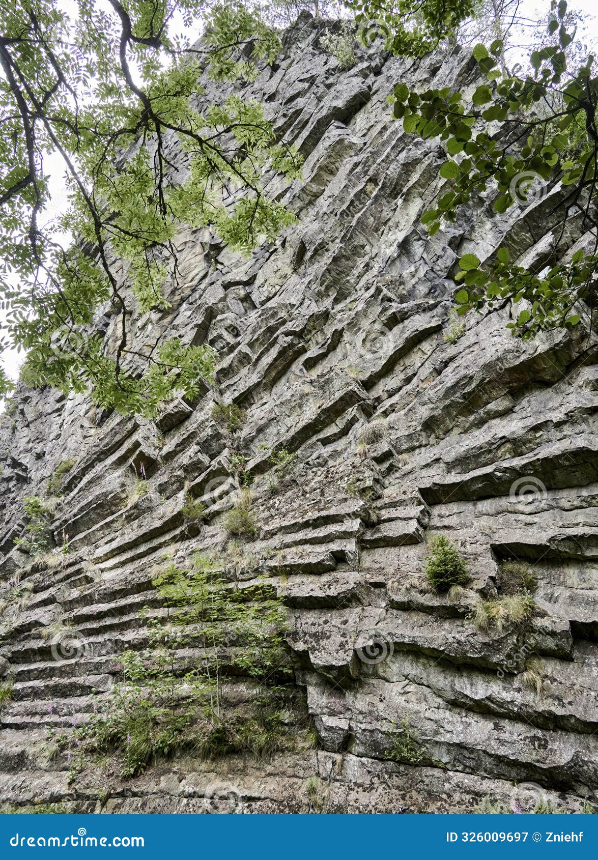 Close-Up of the Columns of a Horizontal Columnar Basalt in the Bohemian ...