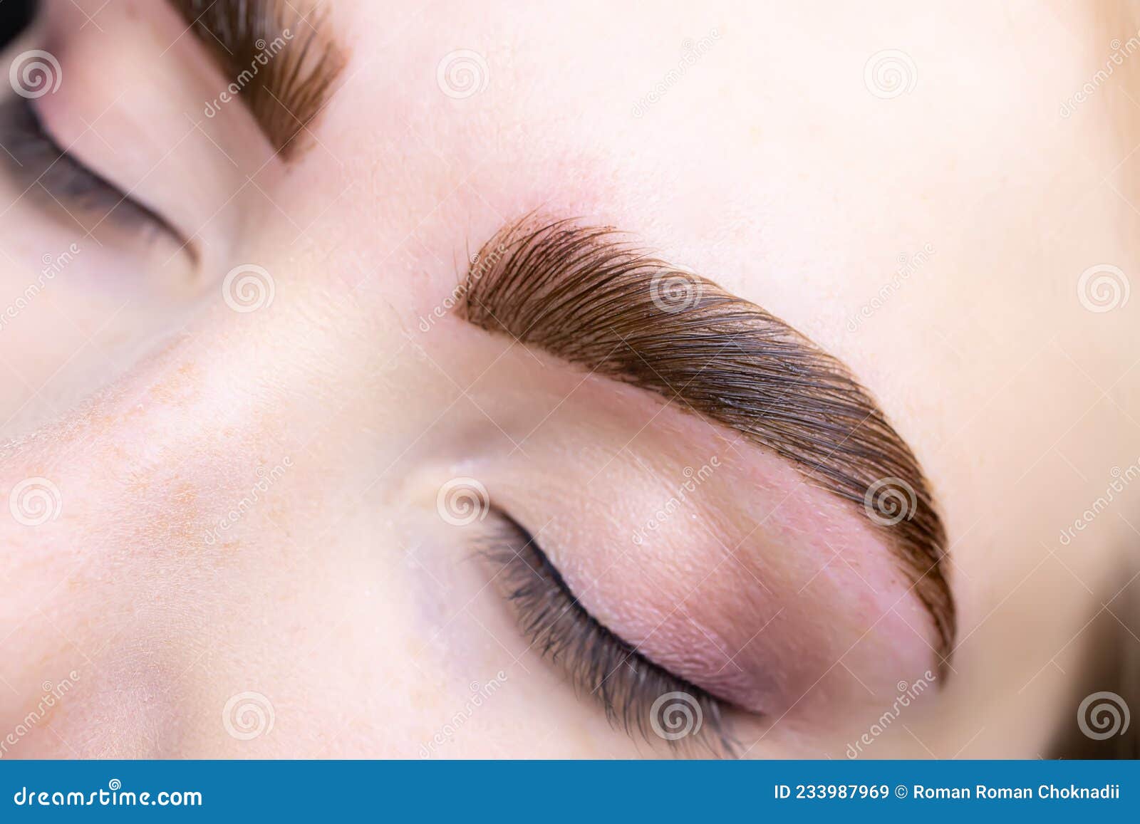 Close-up of Combed Eyebrows with Eyebrow Paint Applied To Them Stock ...