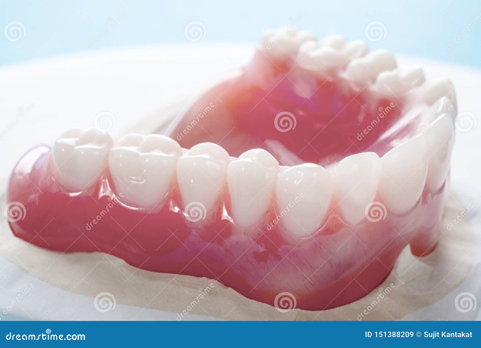 Complete Denture or Full Denture. Stock Image - Image of teeth, lower ...