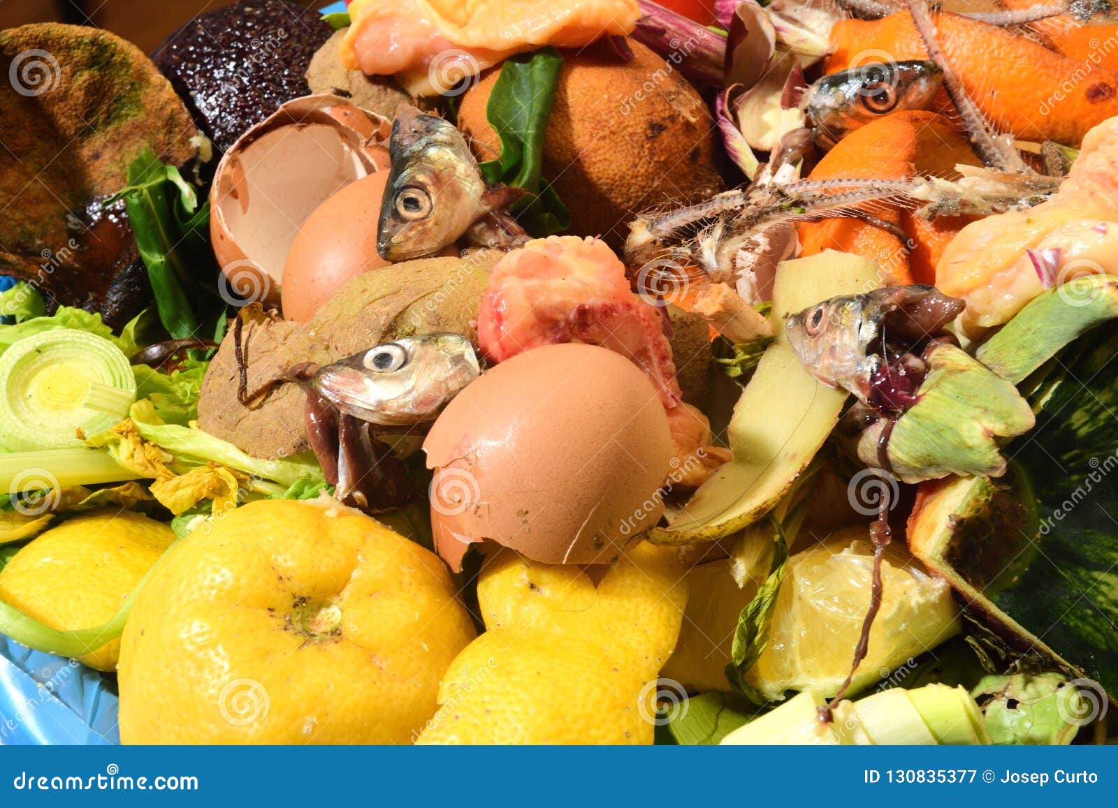 Close up of a compost stock image. Image of leek, grounds - 130835377