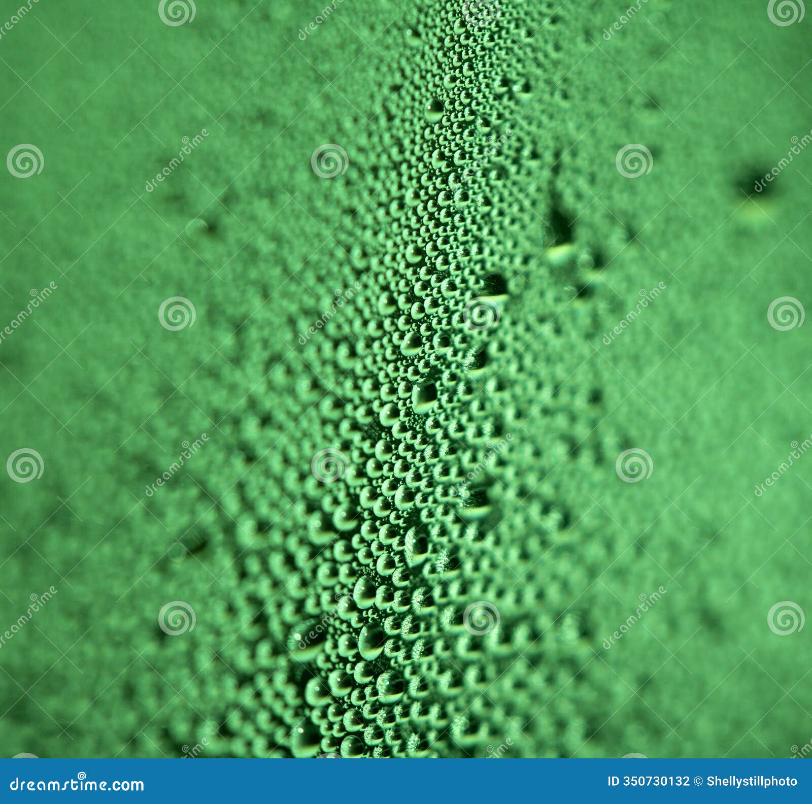 Close Up of Condensation Floating Liquid Water Bubbles and Drips on ...