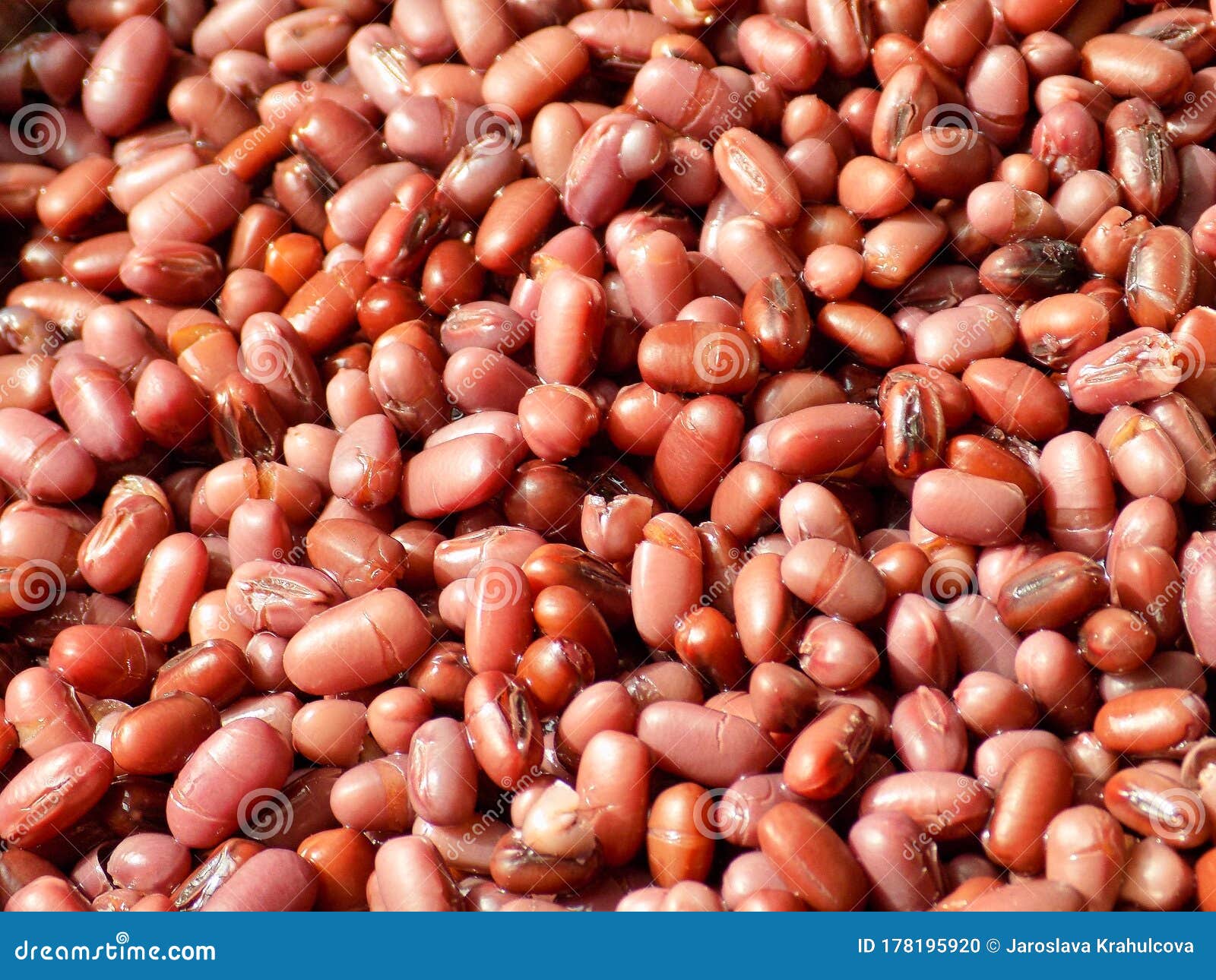 Close Up Cooked Red Kidney Beans Stock Photo - Image of photograph ...