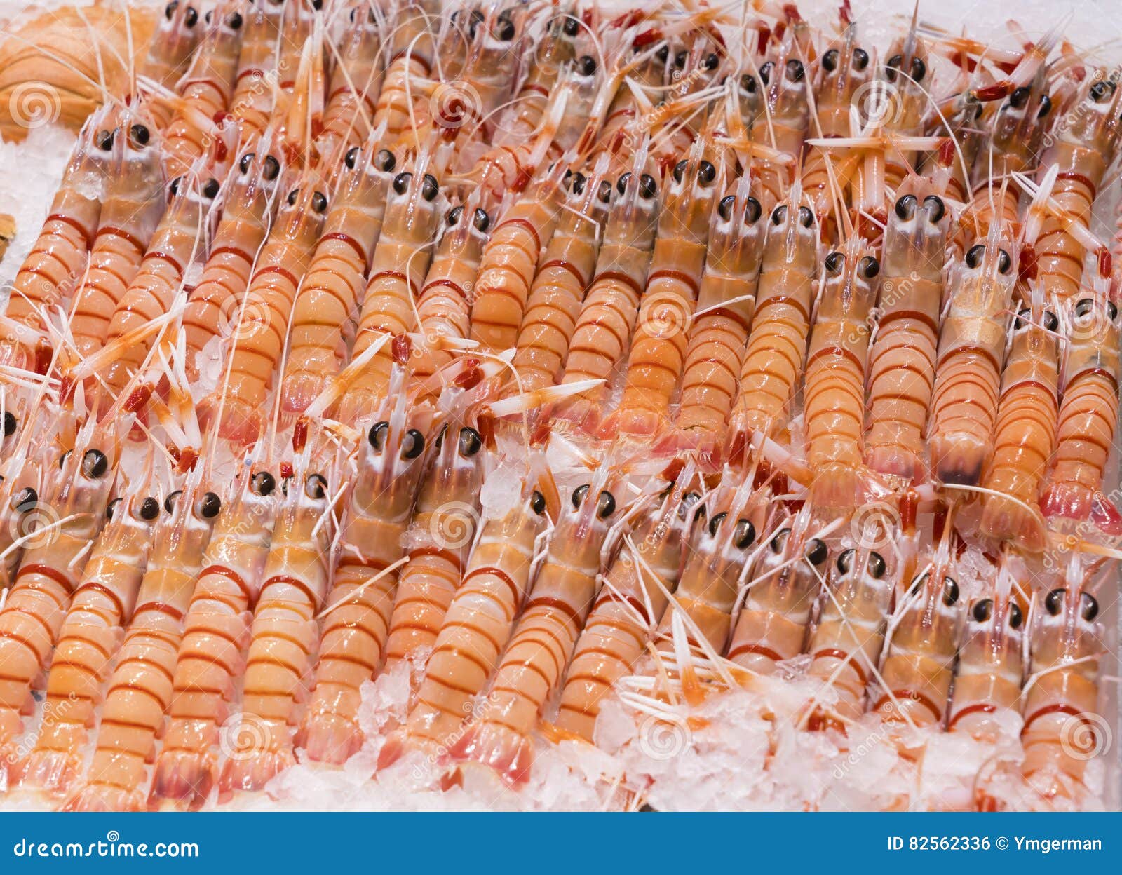 Close-up of Cooked Scampi on Ice Stock Photo - Image of object, food ...