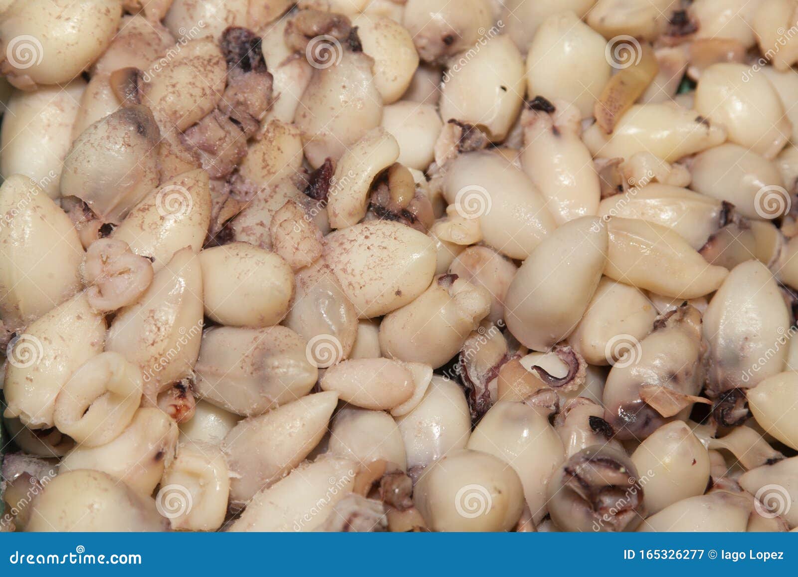 Close-up of Cooked Small Squid Stock Image - Image of calamari ...