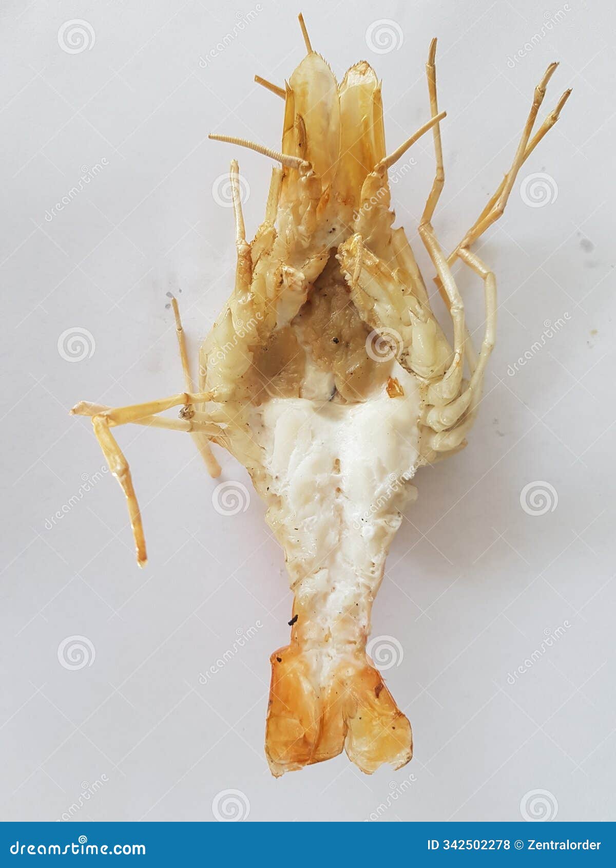 Close-Up of Cooked Split Shrimp Shell on White Background Stock Photo ...