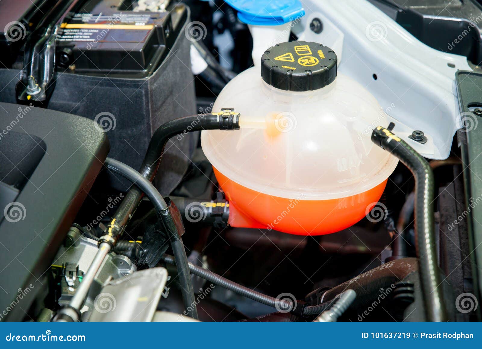 Close Up Coolant Container in a Carengine Bay Stock Image - Image of ...