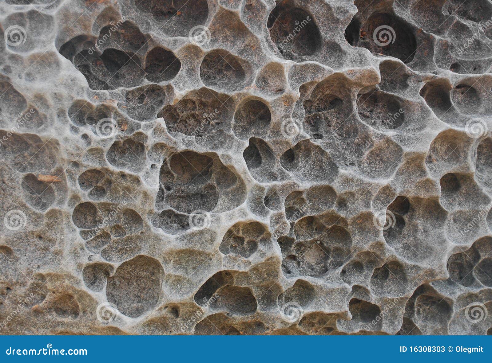 Close-up of Coral Sediment Petrified. Stock Image - Image of texture ...