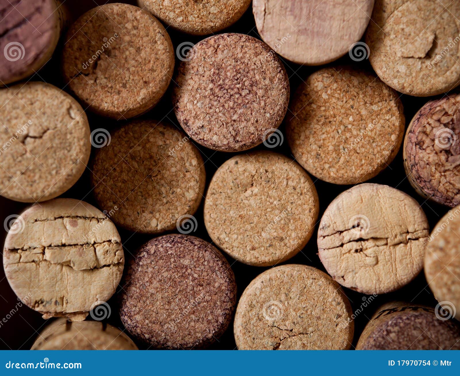 Close up of cork stock photo. Image of symbol, pull, uncorking - 17970754