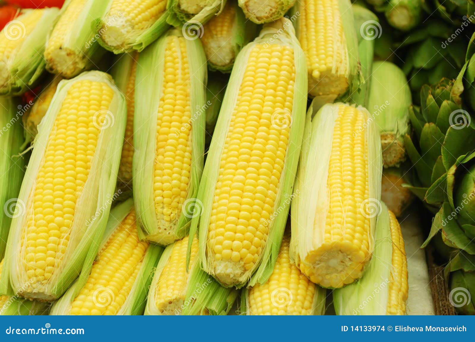 Close up of corn stock photo. Image of garden, kitchen - 14133974