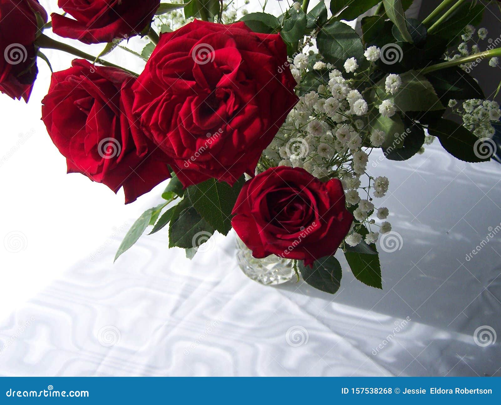 Fully opened rose - corner stock photo. Image of close - 157538268