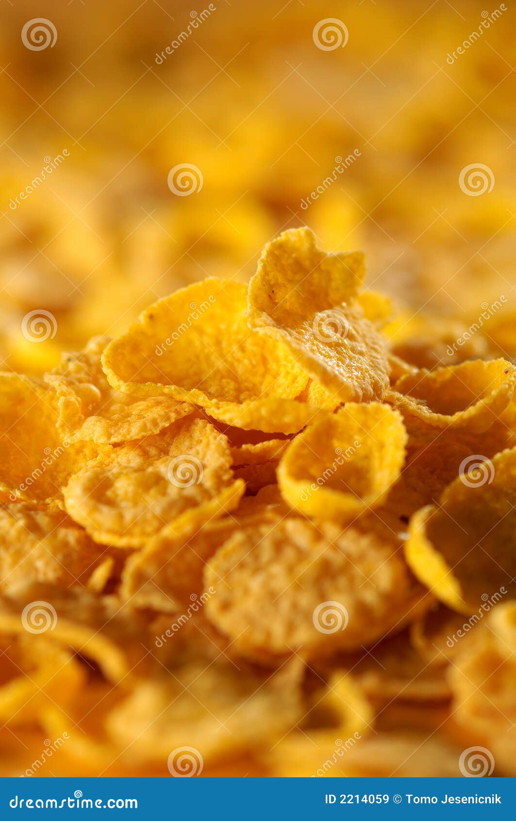 Close up of cornflakes stock image. Image of snack, awake - 2214059