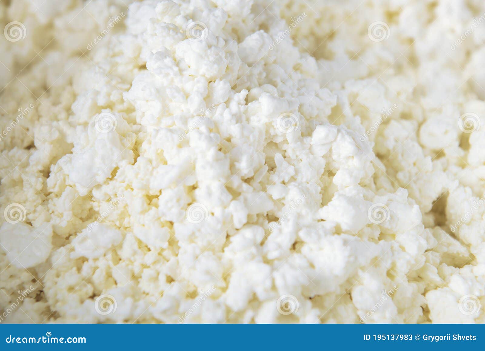 Close-up Cottage Cheese before Cooking. Close-up Diary Product Texture ...