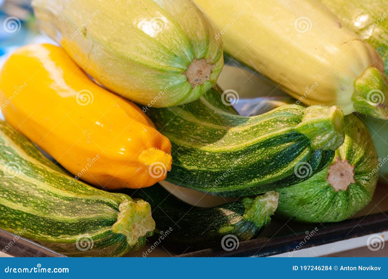 Close-up of Courgettes of Different Kinds on the Table Stock Photo ...