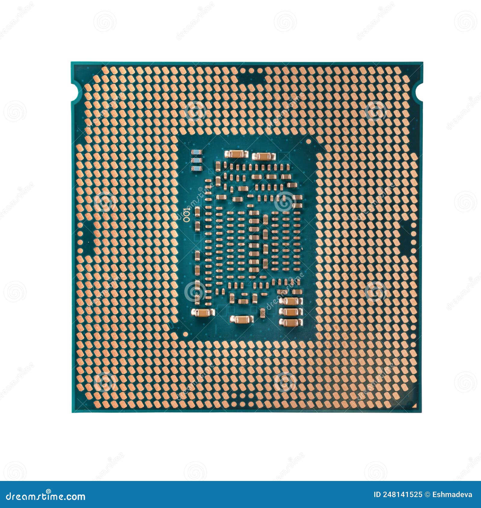 Close-up of the CPU Pin Pad Isolated with Clipping Path Stock Image ...