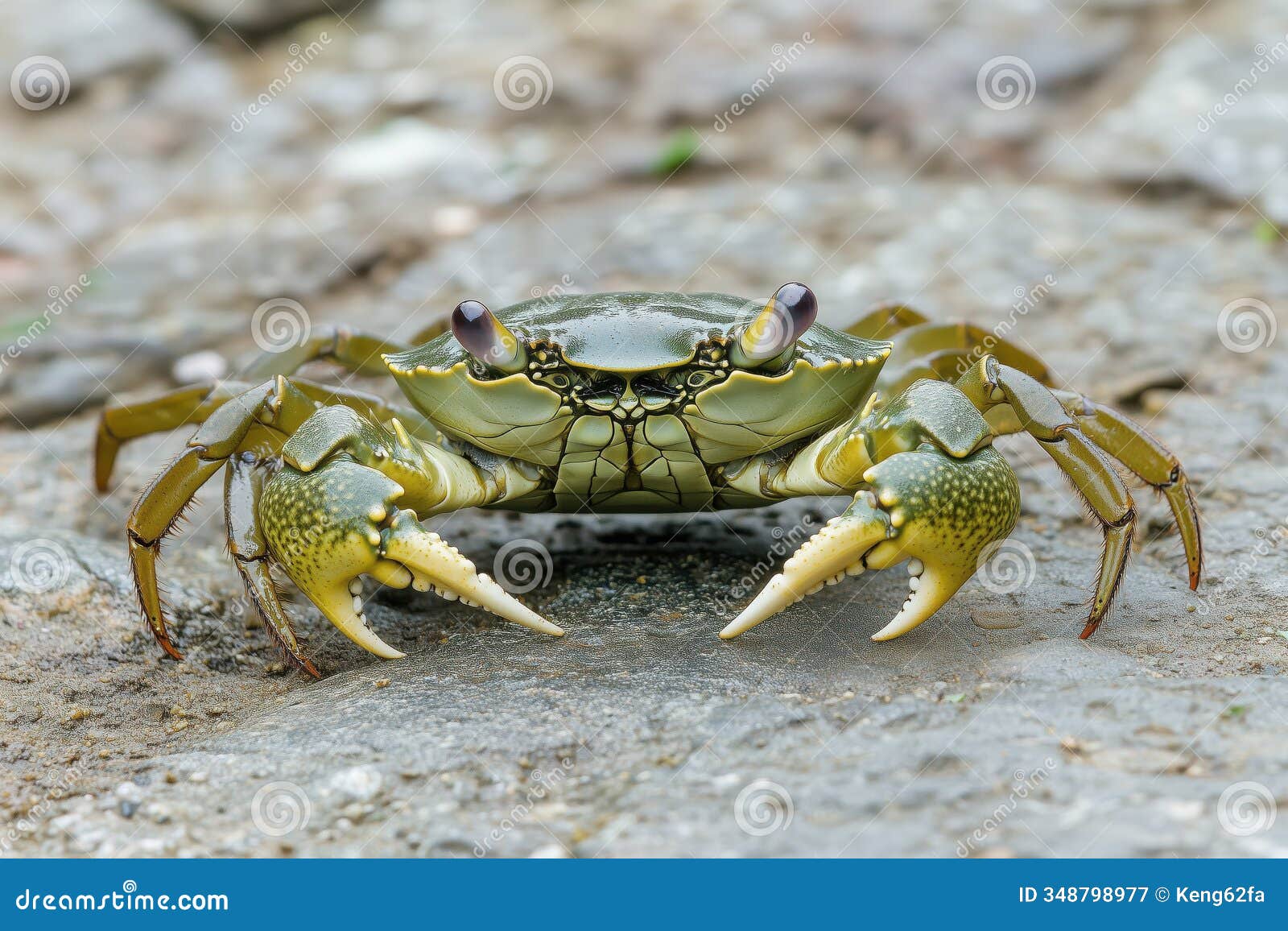 PROMINENT - Close-up Of Grungy Vintage Typeset Word On Metal Backdrop ...