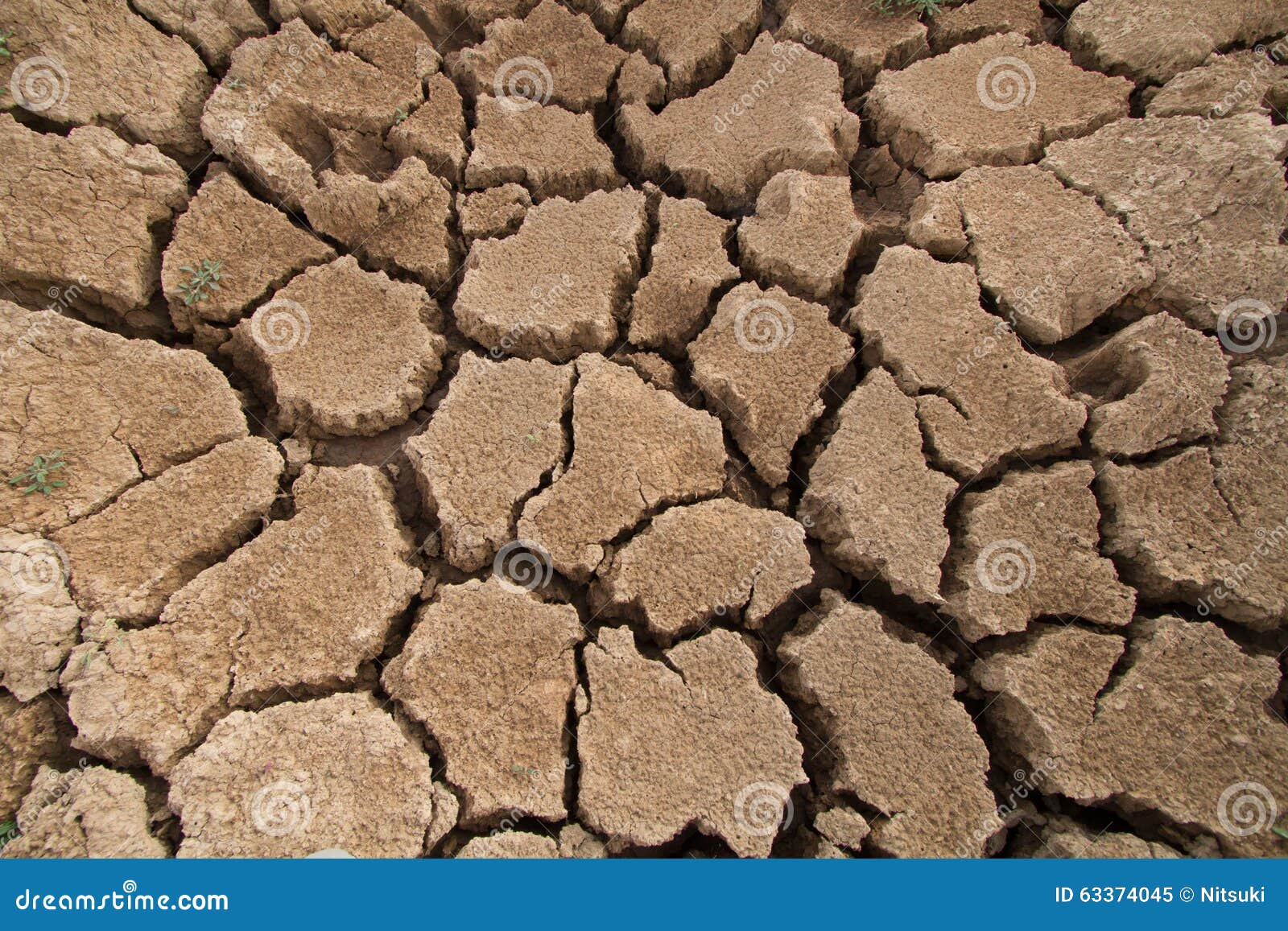 Close up cracked earth. stock image. Image of enviromental - 63374045