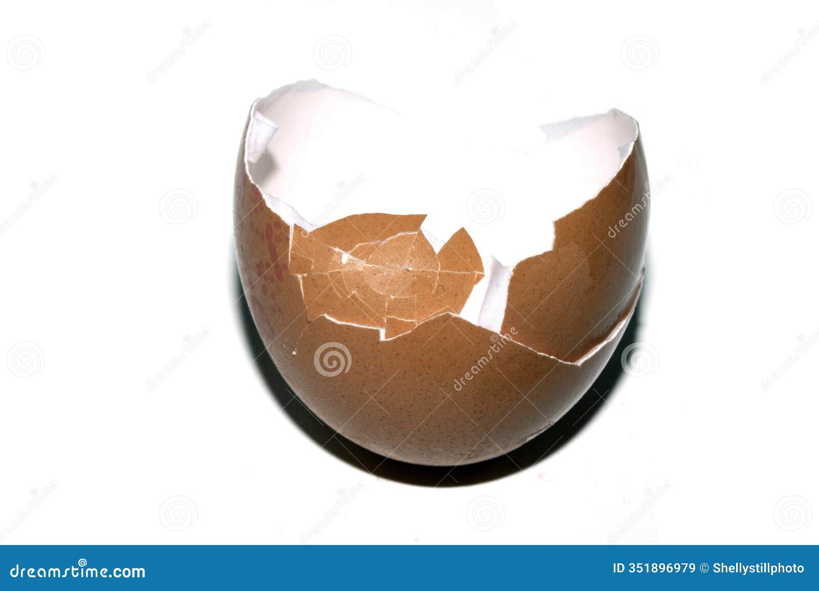 Close Up of a Cracked Peeled Shell Broken Egg on White Background Stock ...