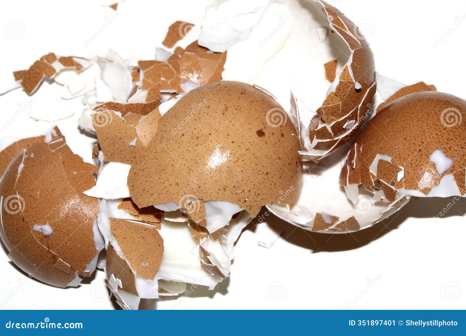 Close Up of a Cracked Peeled Shell Broken Egg on White Background Stock Image - Image of ...