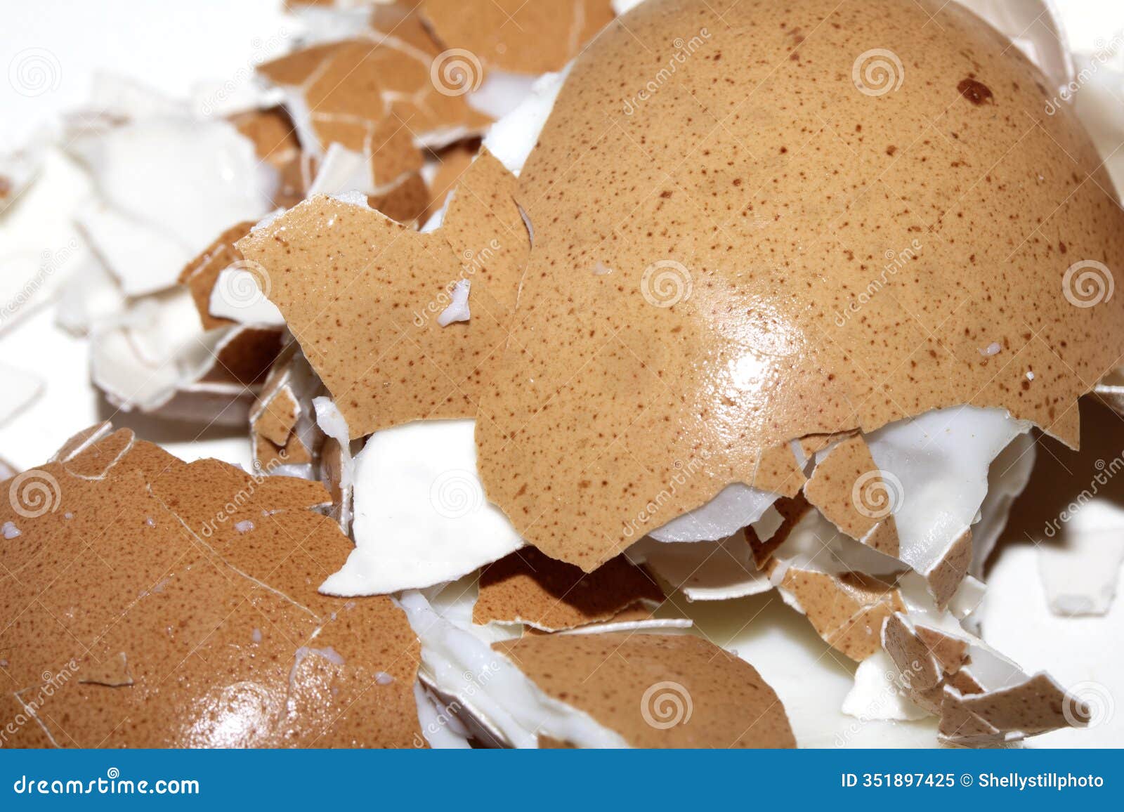Close Up of a Cracked Peeled Shell Broken Egg on White Background Stock ...