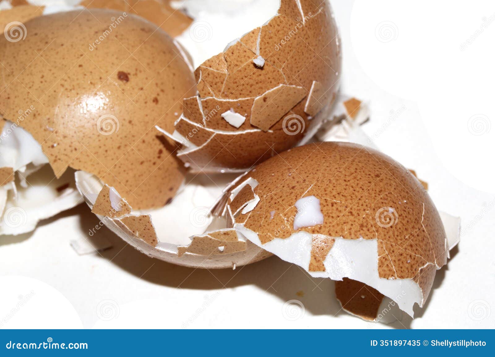 Close Up of a Cracked Peeled Shell Broken Egg on White Background Stock ...
