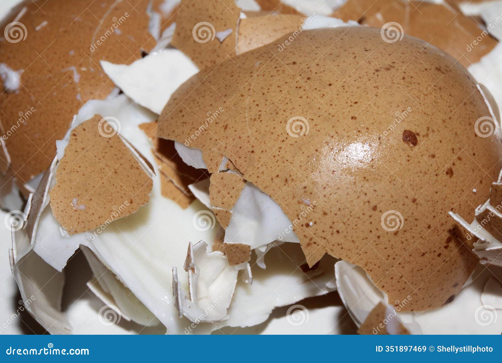 Close Up of a Cracked Peeled Shell Broken Egg on White Background Stock ...