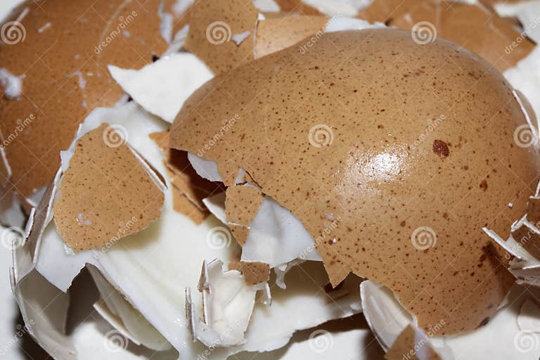 Close Up of a Cracked Peeled Shell Broken Egg on White Background Stock ...