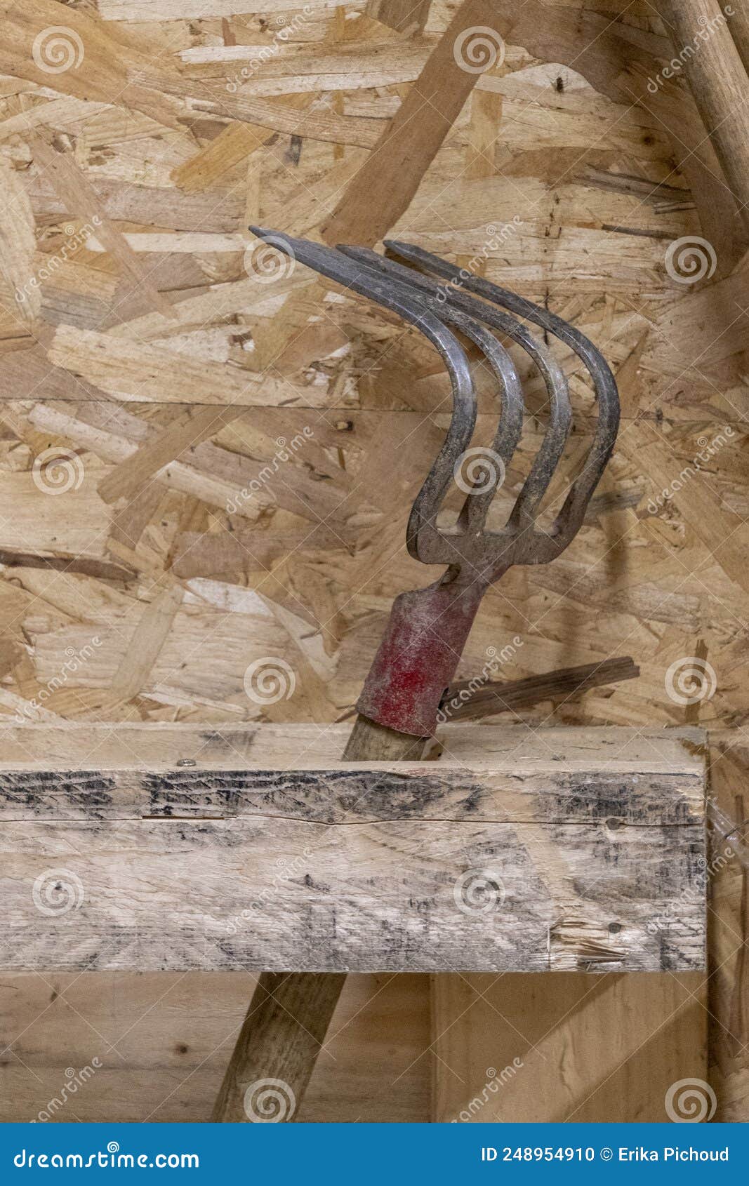 Close-up of a Croc Digger, Tool for Working the Soil in the Vegetable ...