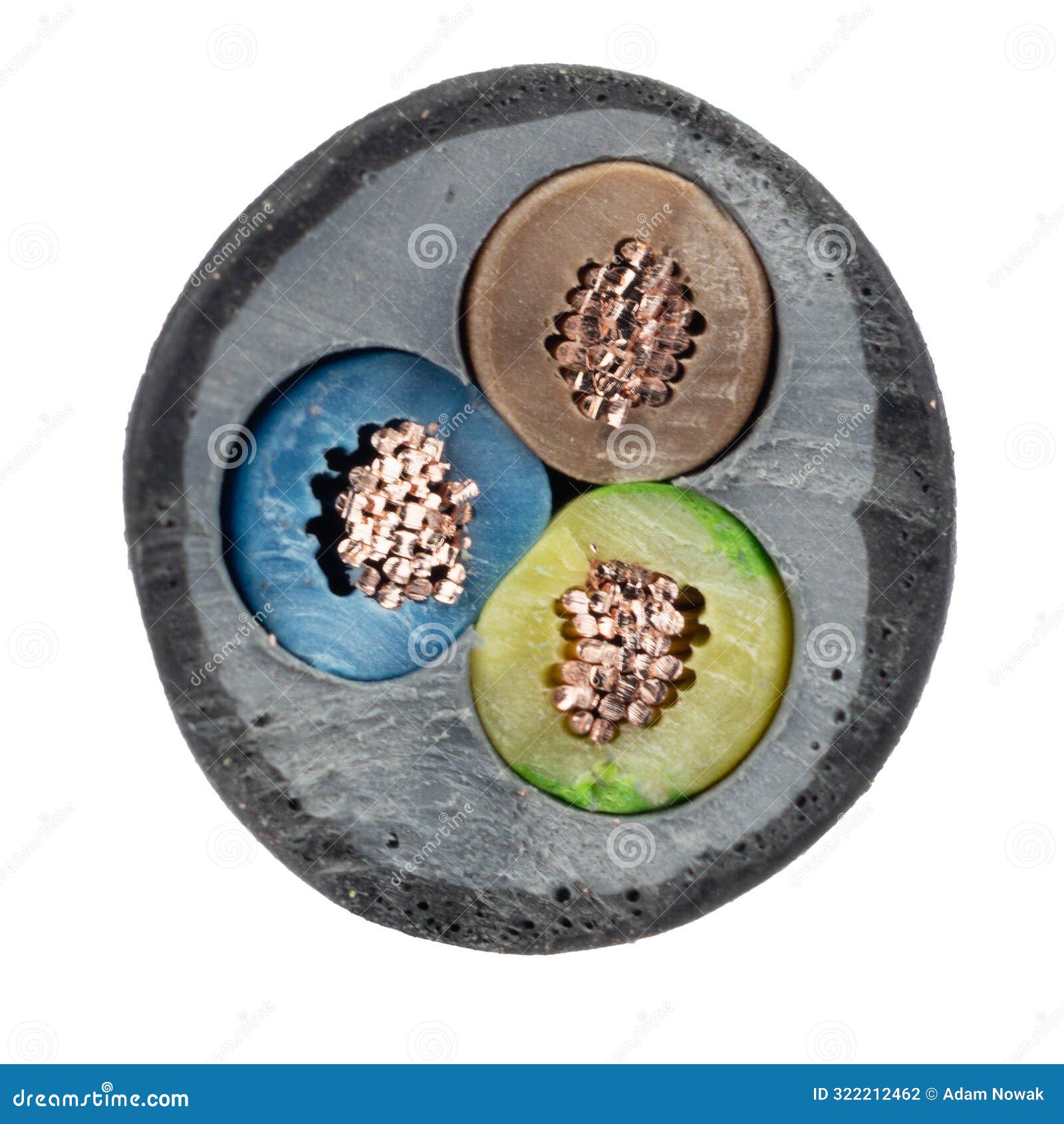 Cross-Section of Electrical Cable Stock Photo - Image of hardware ...