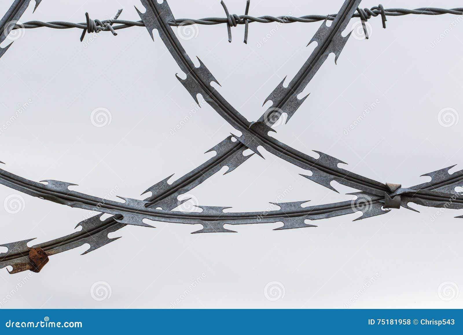 Close Up of Crossed Pieces of Razor and Barbed Wire Stock Photo - Image ...
