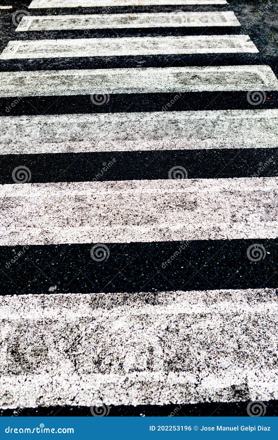 Close up of crosswalk stock photo. Image of black, city - 202253196