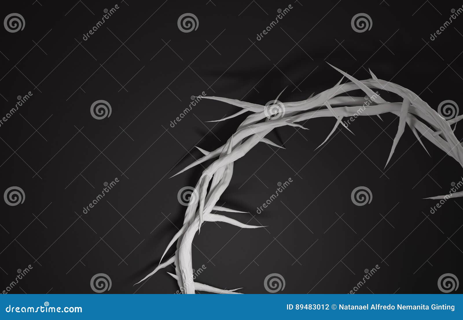 Close Up Crown of Thorns 3D Rendering Empty Space Dark Background Stock ...
