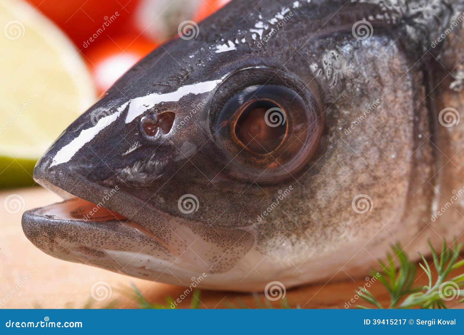 Close-up Cru Da Cabeça Dos Peixes Do Badejo Horizontal. Imagem de Stock ...