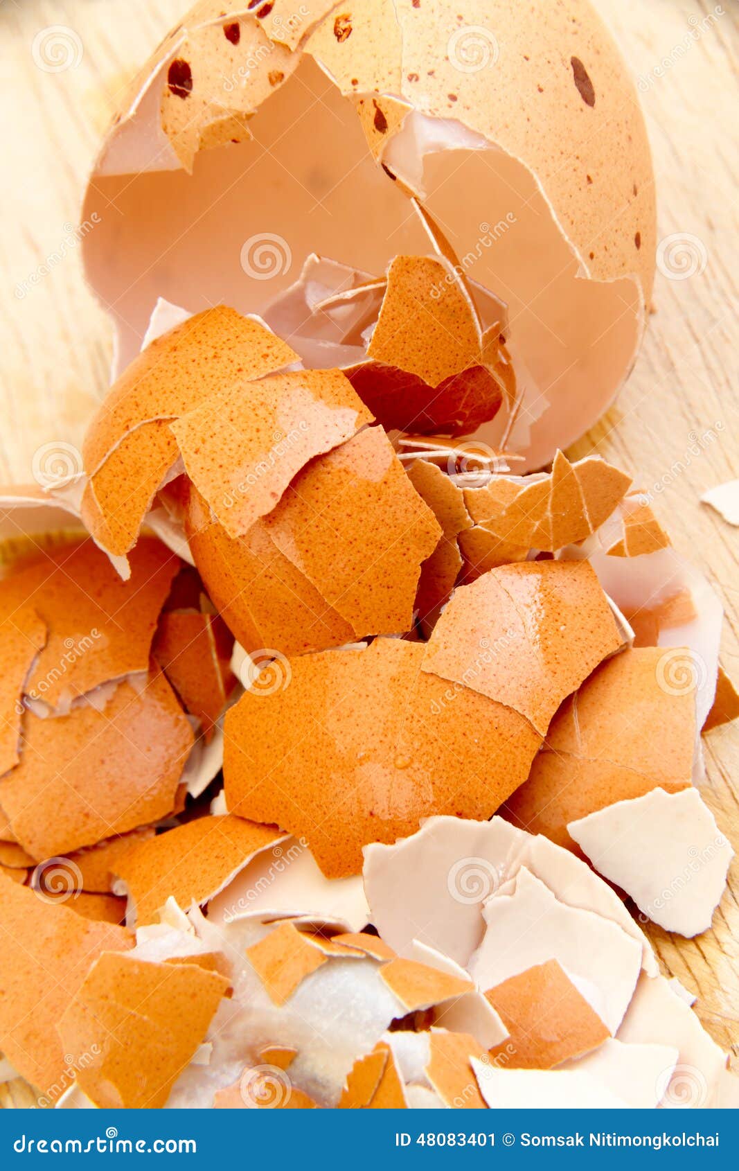 Close Up of Crushed Egg Shells Shattered on the Wooden Floor. Stock ...