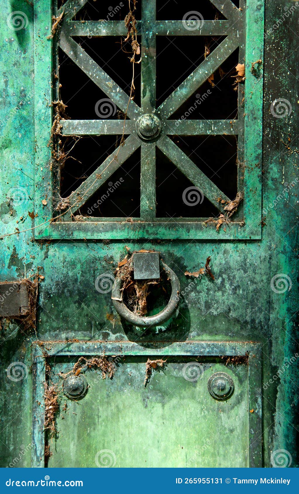 Close Up of Crypt Door in a Cemetery Stock Image - Image of window ...