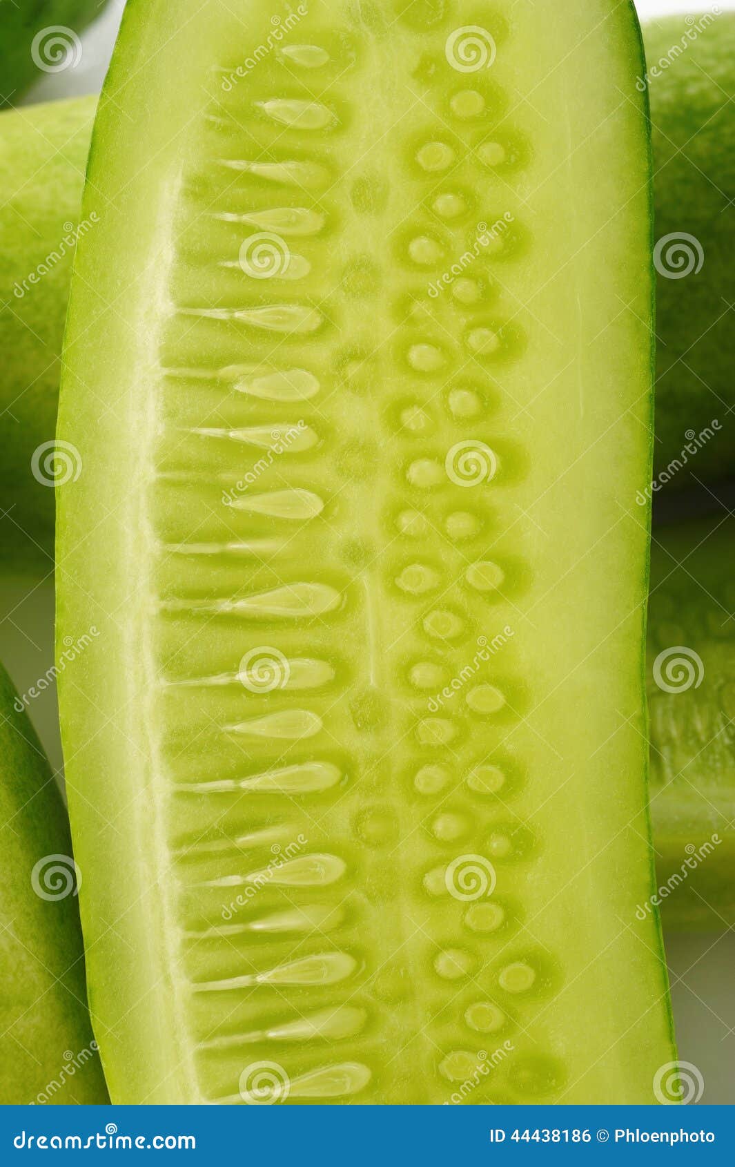 Close up of cucumber stock photo. Image of freshness - 44438186