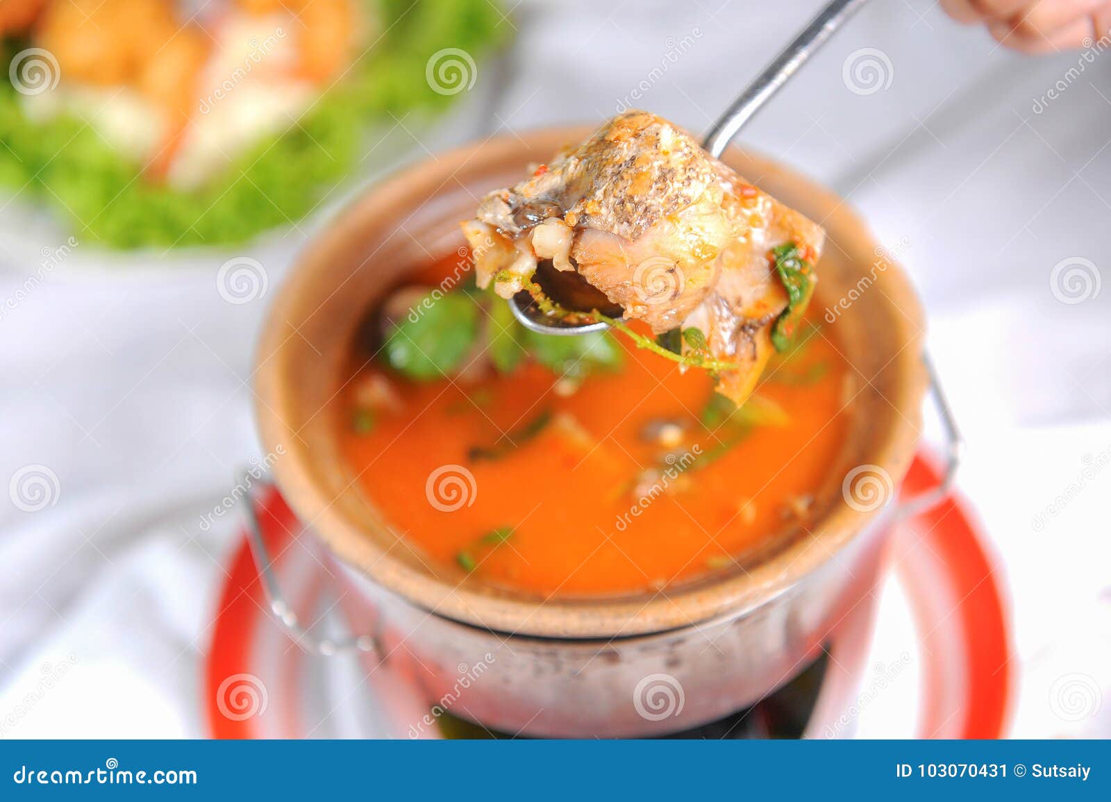 Curry with fish soup stock image. Image of spicy, meal - 103070431