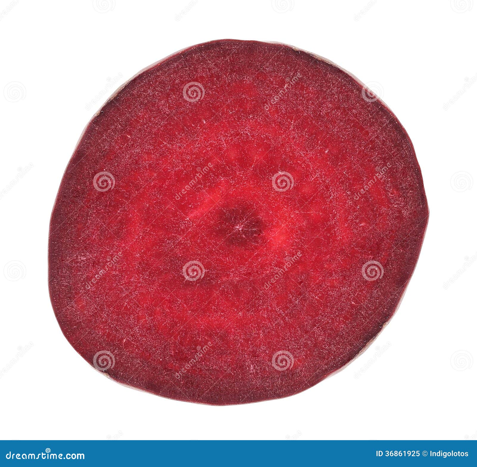 Close up of cut beet. stock image. Image of generic, full - 36861925