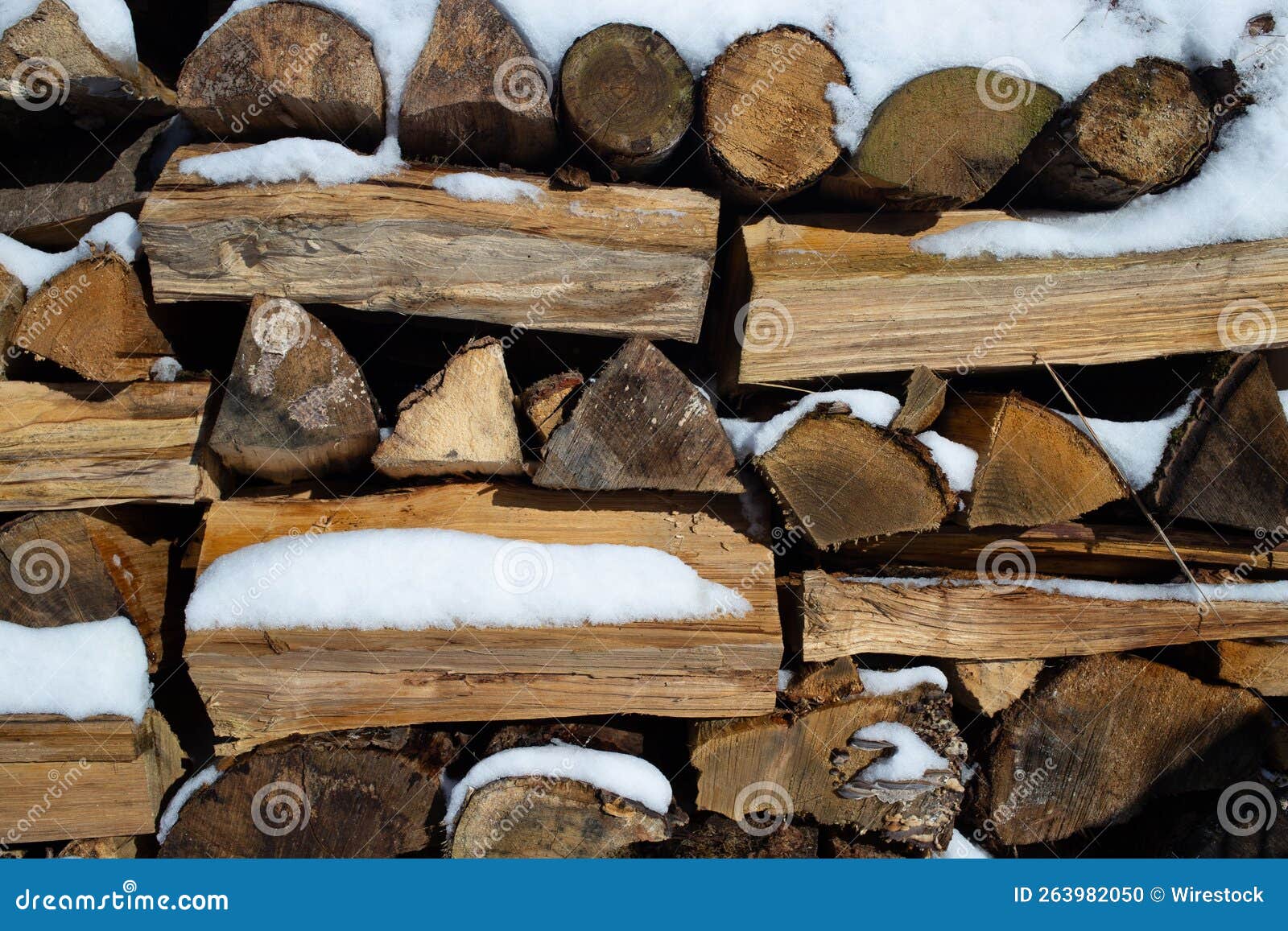 Close-up of Cut Tree Logs Covered in Snow Stock Photo - Image of tree ...
