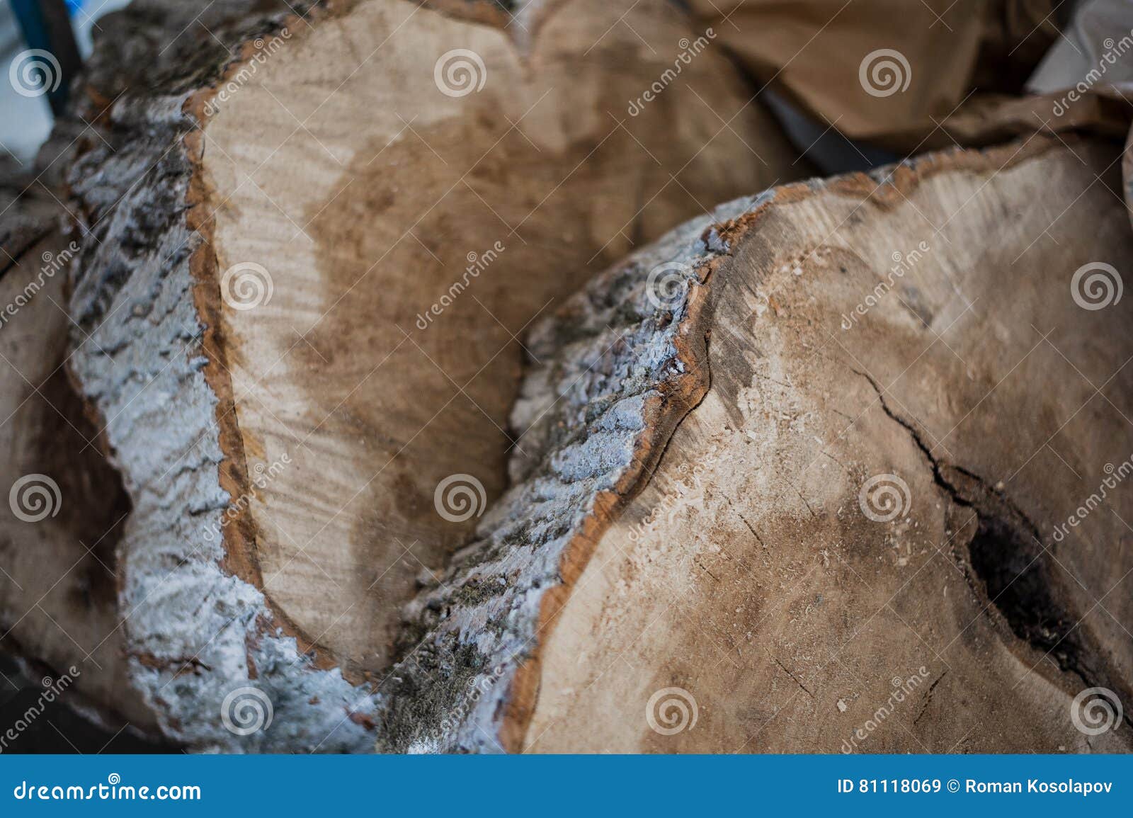 Close Up of Cut Tree Trunk Pieces Macro Stock Image - Image of logstack ...