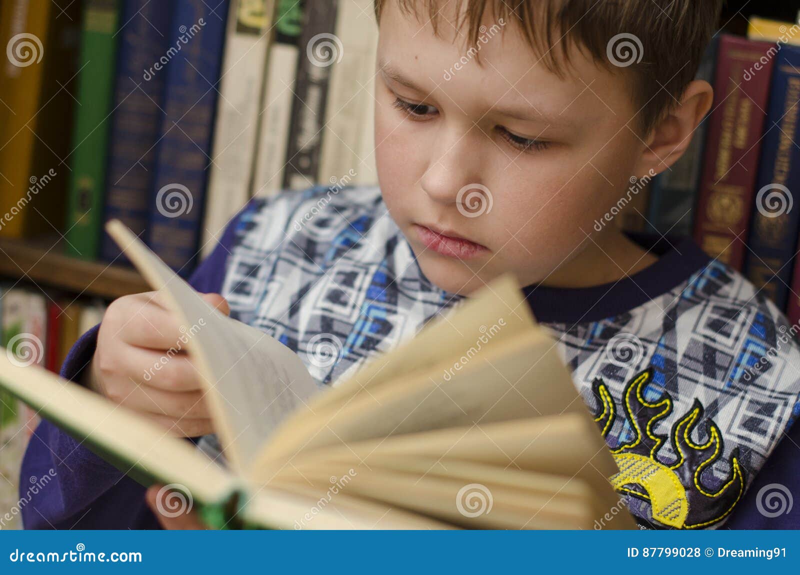 Close-up of Cute Boy Reading Book in Library Stock Photo - Image of ...