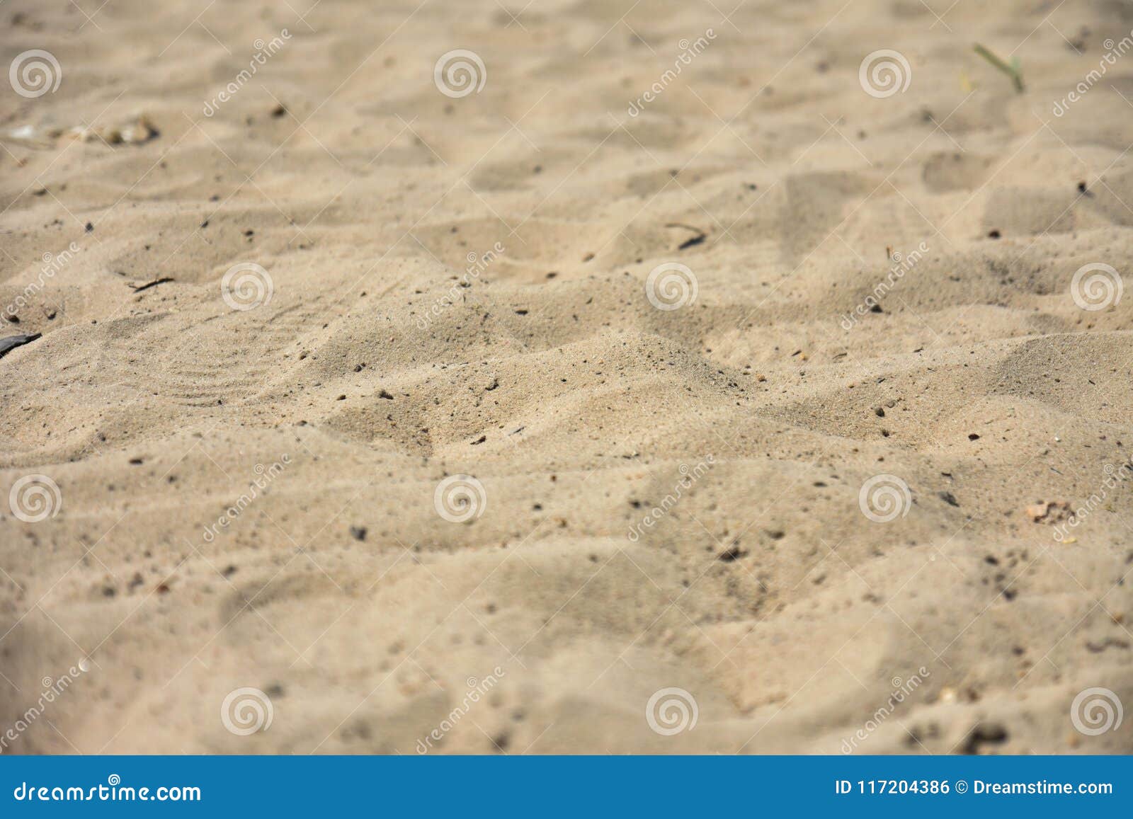 Close-up da areia da praia foto de stock. Imagem de projeto - 117204386