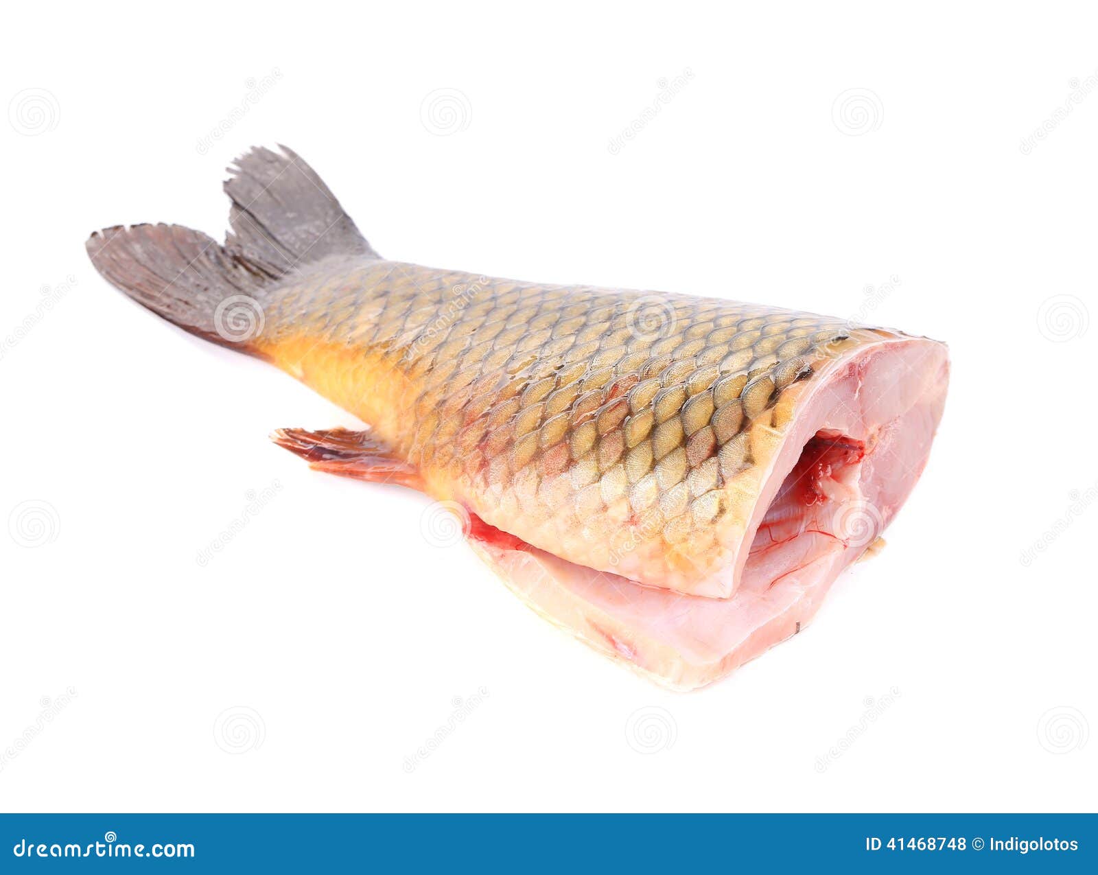 Close Up Da Cauda Dos Peixes Da Carpa Foto de Stock - Imagem de vida ...