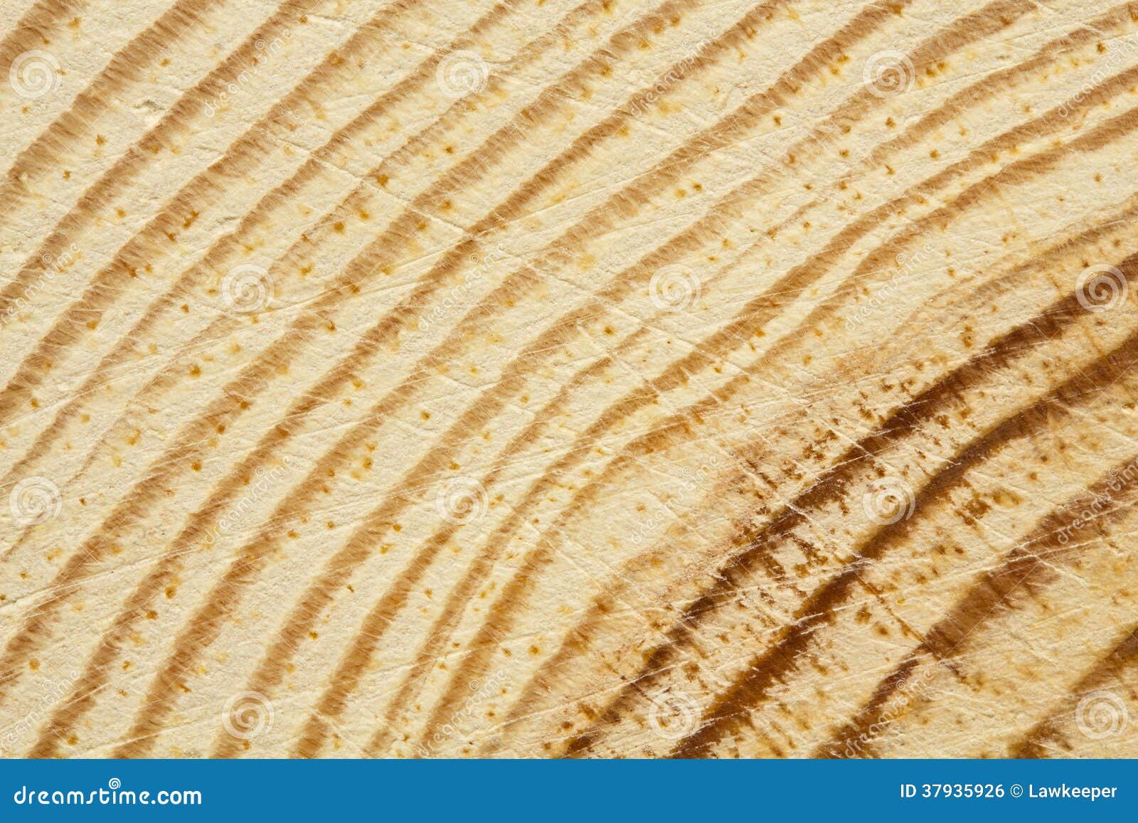 Close Up Da Textura Do Pinheiro Com Riscos Foto de Stock - Imagem de ...
