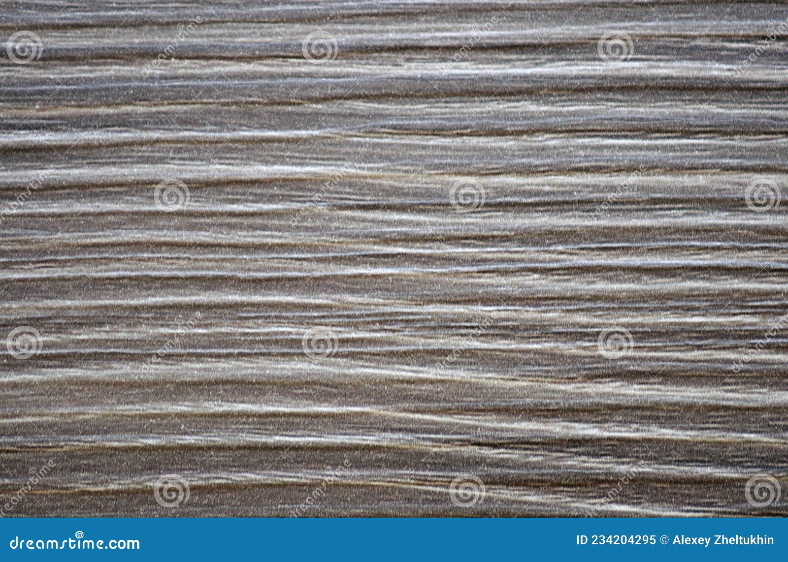 Close-up of Dark Ash, Striped Pattern of Natural Wood on a Cut Stock ...