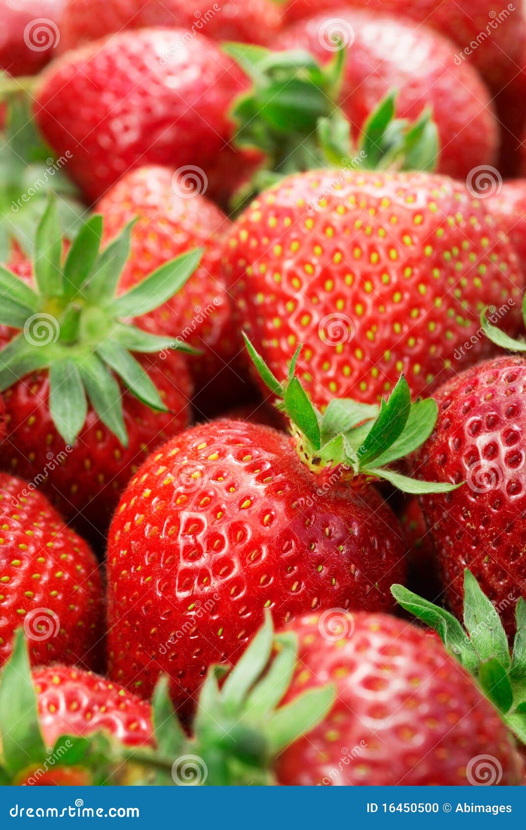 Close up das morangos foto de stock. Imagem de bagas - 16450500