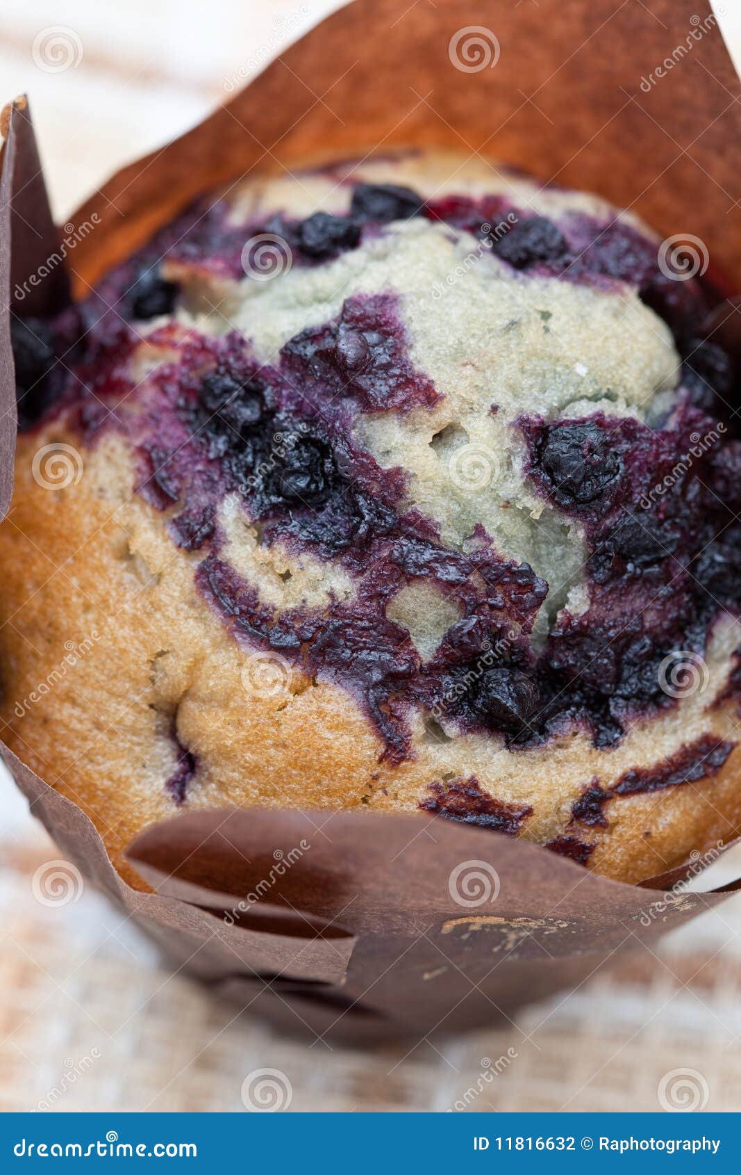 Close Up De Um Queque Da Uva-do-monte Foto de Stock - Imagem de ...