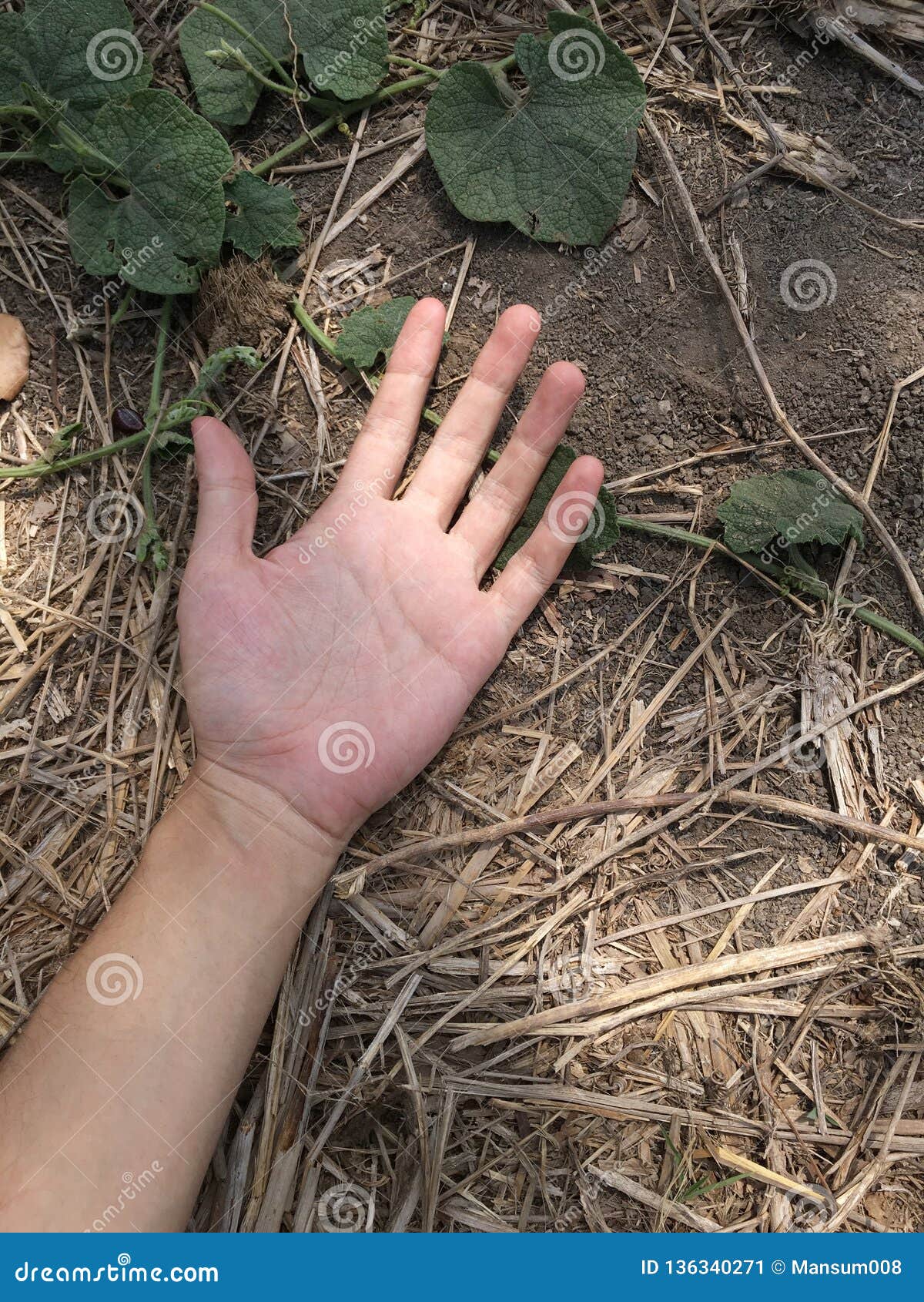 Dead Man Hand on the Ground Stock Image - Image of natural, rural ...