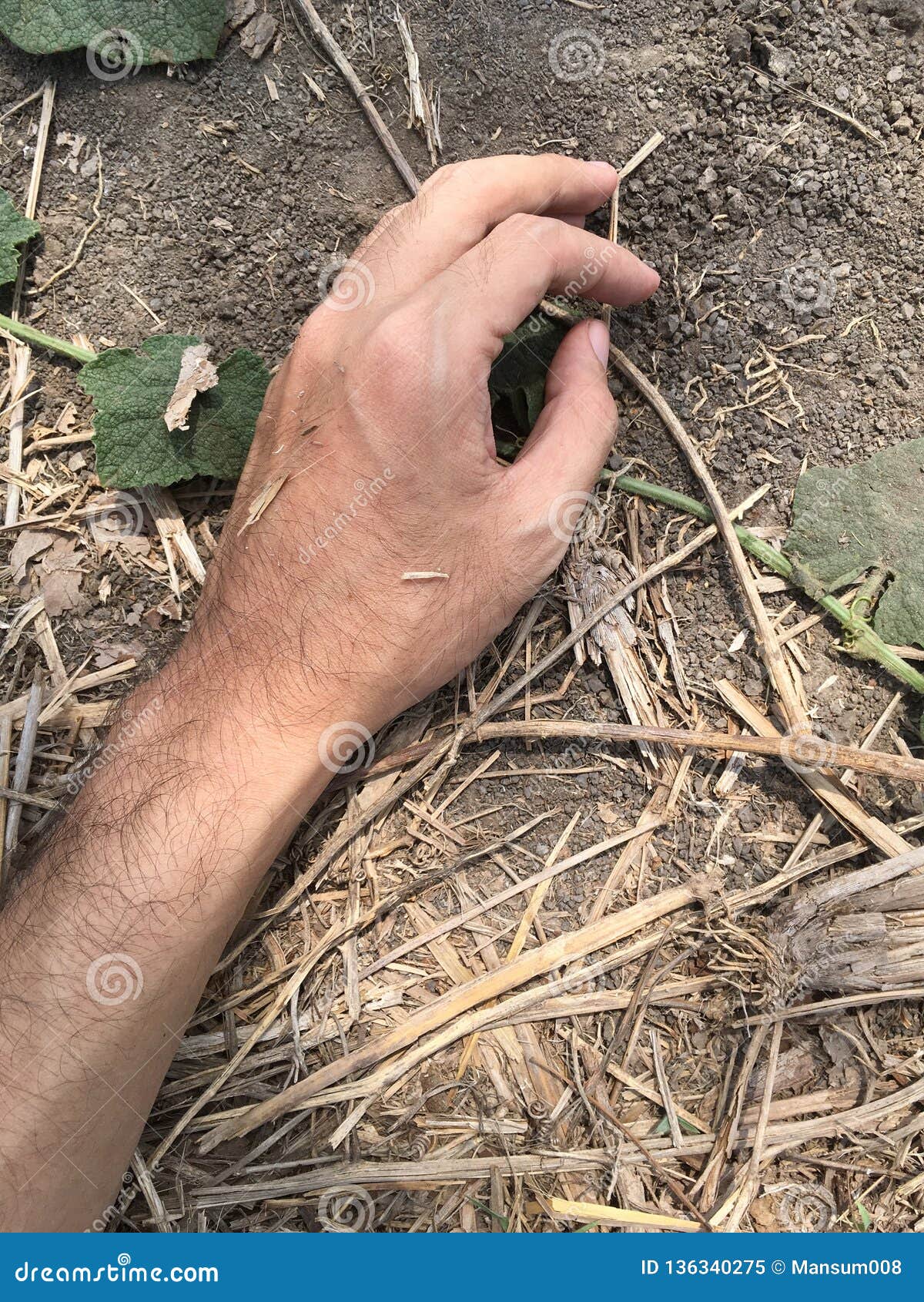 Dead Man Hand on the Ground Stock Image - Image of dirty, drought ...