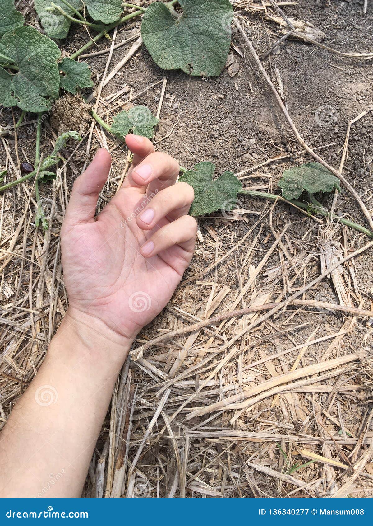 Dead Man Hand on the Ground Stock Image - Image of rough, nature: 136340277